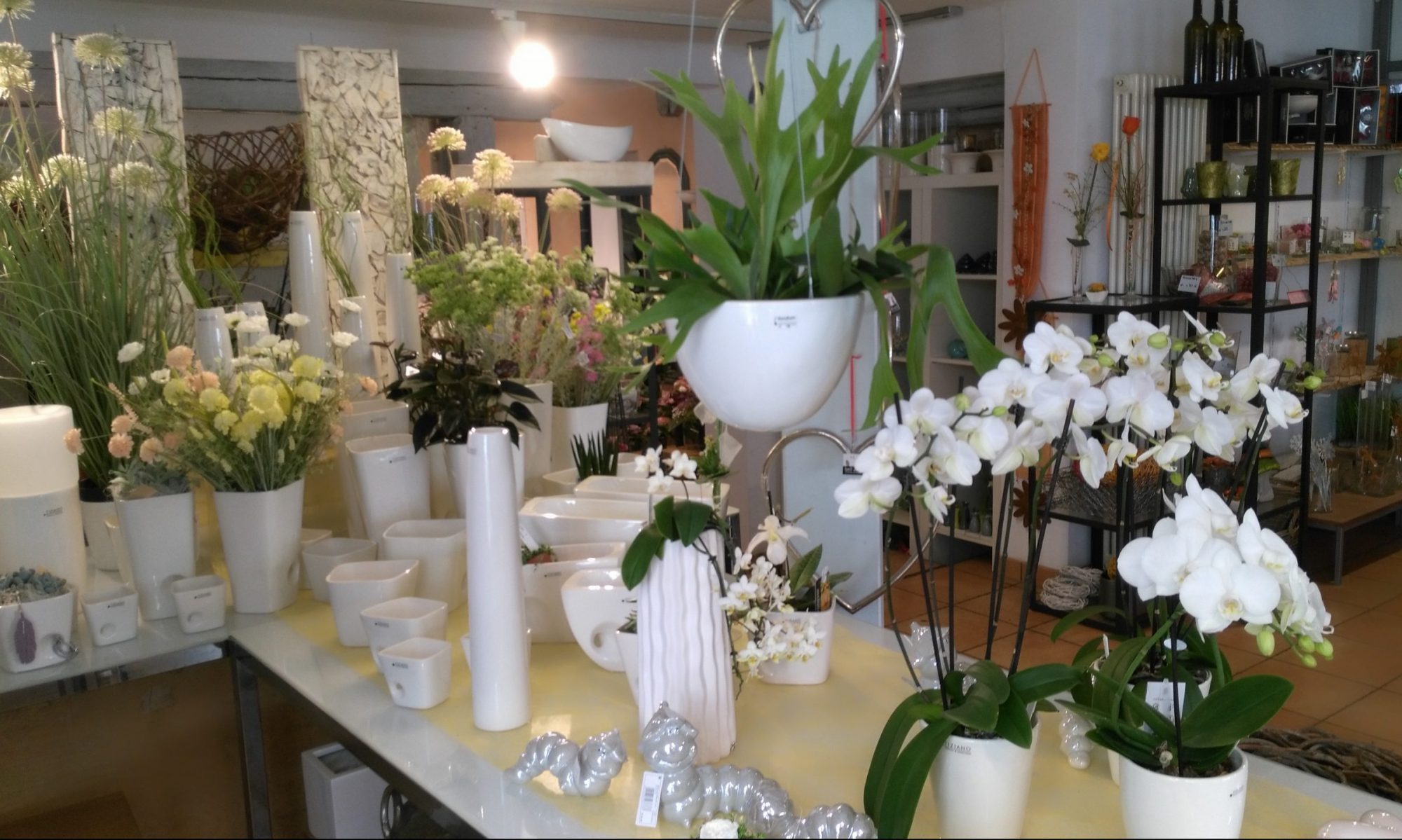 Ihr Blumenladen – in der Altstadt Leonberg